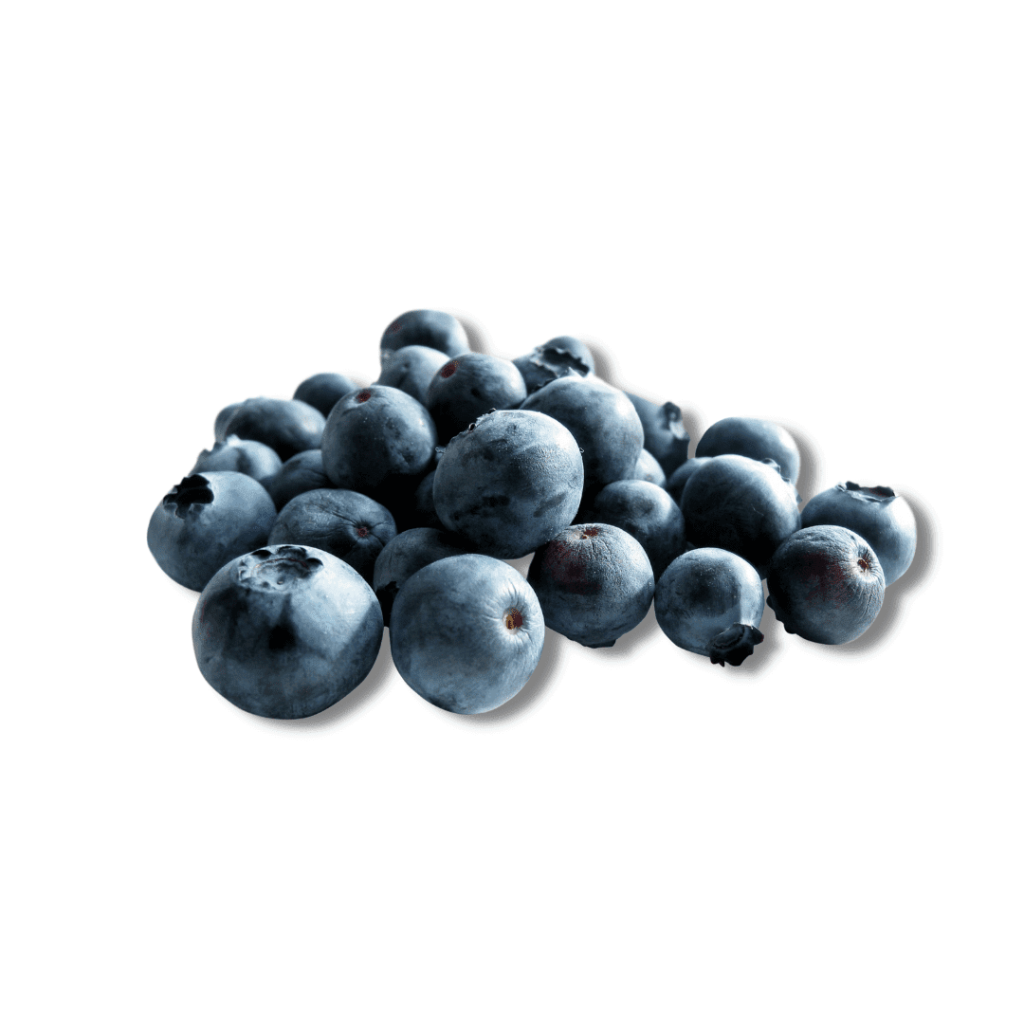 Blueberries | Ifresh Corporate Pantry